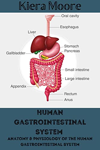 Amazon | Human Gastrointestinal System: Anatomy & Physiology of the ...