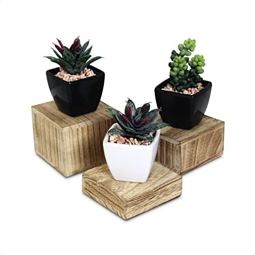 Amazon.com: MyGift Tabletop Torched Wood Nesting Decorative Display ...