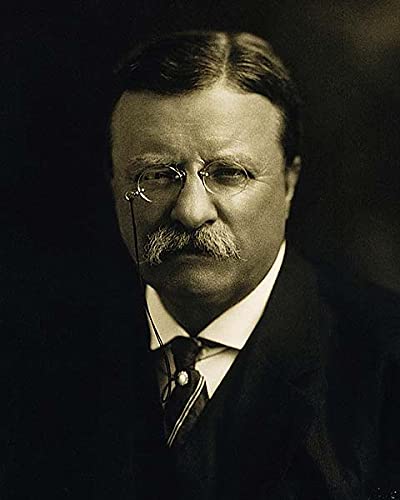 Theodore Roosevelt Presidential Portrait