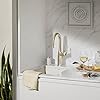 BLANCO 527404 Precis Bar/Prep Sink - Soft White - Amazon.com