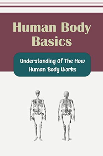Human Body Basics: Understanding Of The How Human Body Works (English ...