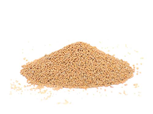 Senfsaat hell ganz | Senfkörner gelb mild | Senf Saat | Senfsamen ...