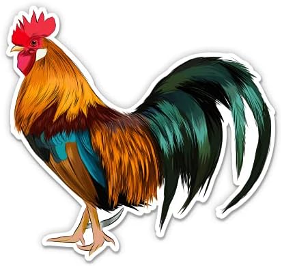 Amazon.com: Rooster - 8" Vinyl Sticker - for Car Laptop I-Pad ...