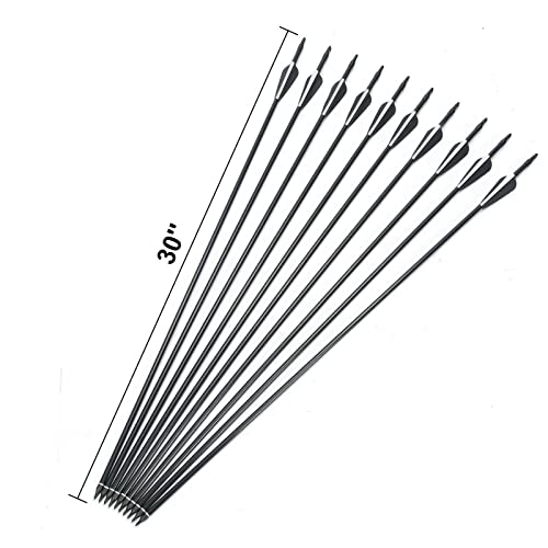 Trintion 10 Pcs Archery Carbon Arrows Spine Fiberglass Practice Targeting Arrows Removable Nock ...