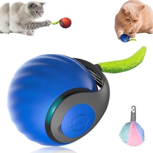 Lamvpiny Speedy Tail Cat Toy - Interactive Cat Toys, Automatic Moving ...
