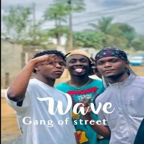 Amazon.co.jp: Wave : WAYDER KG: Digital Music