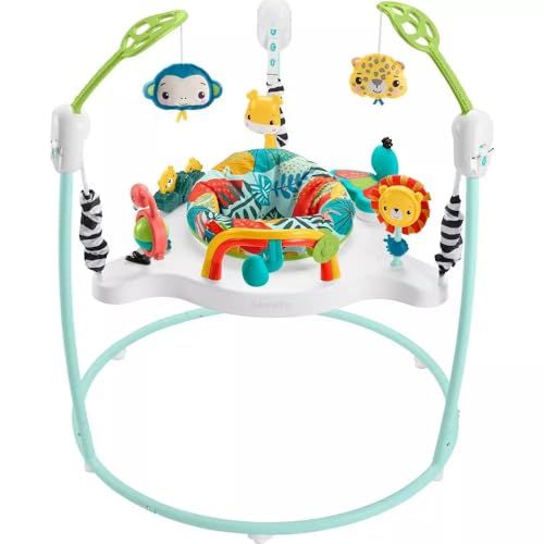 Amazon Best Sellers: Best Baby Stationary Activity Centers