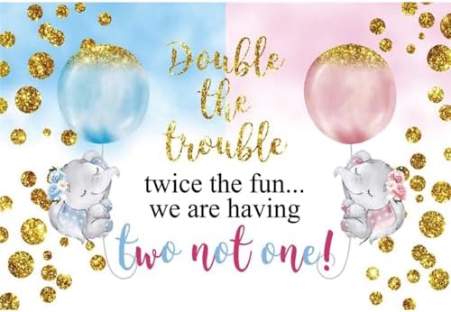 Amazon.com : Leowefowa Double The Trouble Twice The Fun We are Having ...