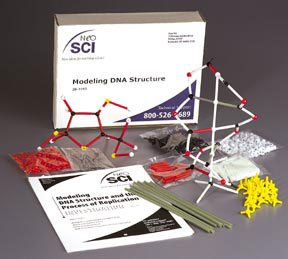Amazon.com: Modeling DNA Structure and the Process of Replication Kit ...