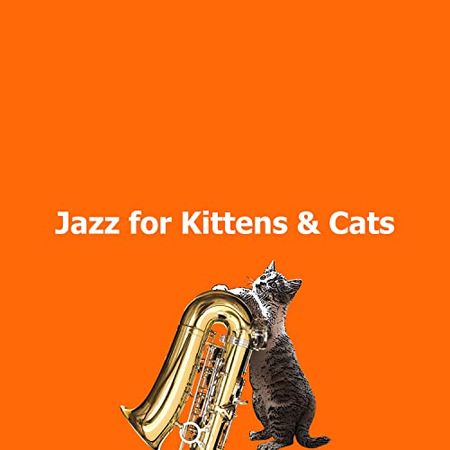 Écouter Jazz for Kittens & Cats par Jazz Music for Cats sur Amazon ...