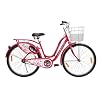 BSA cycles Ladybird Hazel Cycle 24T 9 Years to 15 Years : Amazon.in ...