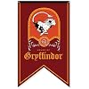 Amazon.com: Conquest Journals Harry Potter Gryffindor Crest Banner, 30 ...