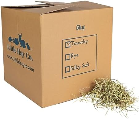 Little Hay Co Pure Timothy Hay | Eco Box | Clean, Green, Fresh ...
