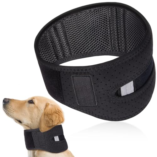 Dog Neck Brace – The 15 best products compared - Wild Explained