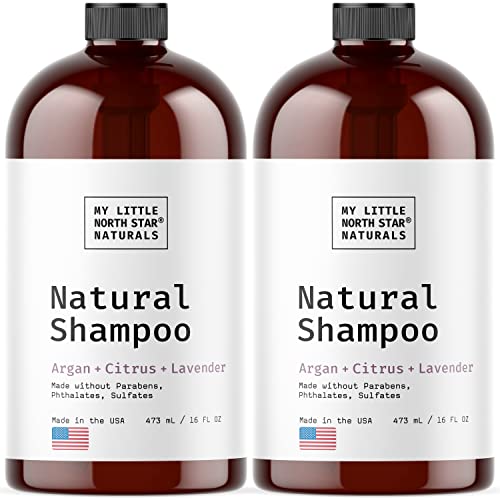 Top 10 Best In Sulfate Free Shampoo : Reviews & Buying Guide - Katynel
