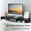 Amazon.com: TEAMIX Dual Monitor Stand Riser with Drawer - Length and ...