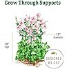 Amazon.com : Gardener's Supply Company Grow Through Plant Support ...