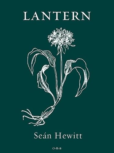 Lantern: Amazon.co.uk: Seán Hewitt: 9781999930493: Books