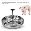 Amazon.com: Piglet Trough, Durable Stainless Steel Pig Feeding Bowl ...