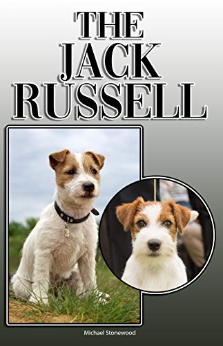The Jack Russell: A Complete and Comprehensive Owners Guide to: Buying ...
