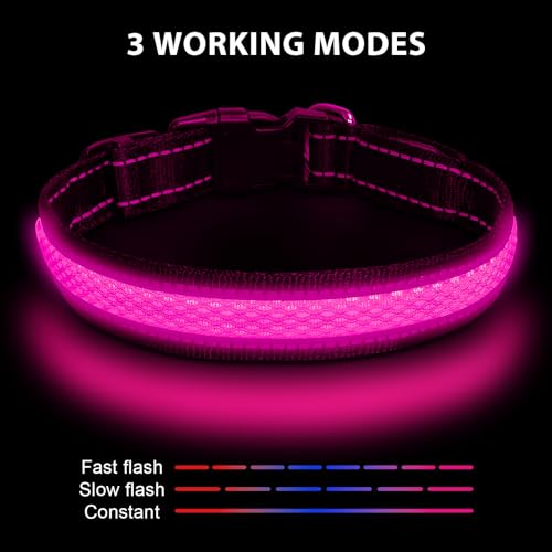 AUAUY Light Up Dog Collar, LED Dog Collar Light USB Rechargeable ...