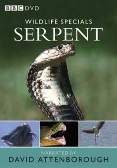 Wildlife Specials: Serpent [DVD]: Amazon.co.uk: David Attenborough
