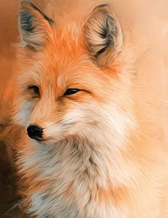 Buy Wild Red Fox Journal Book Online at Low Prices in India | Wild Red ...