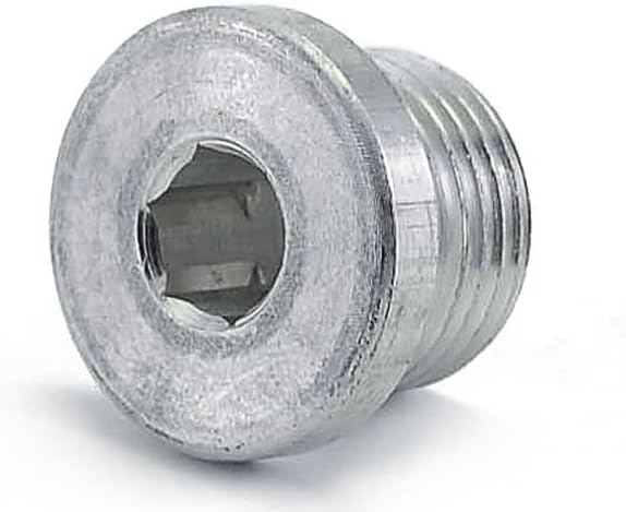 Amazon.com: Dsnaduo 1PC Stainless Steel Magnetic Sump Engine Oil Drain ...