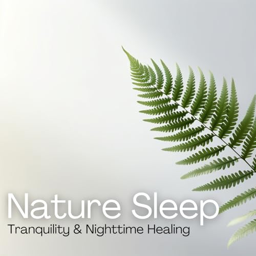 Play Nature Sleep - Tranquility & Nighttime Healing by Nature Sounds ...