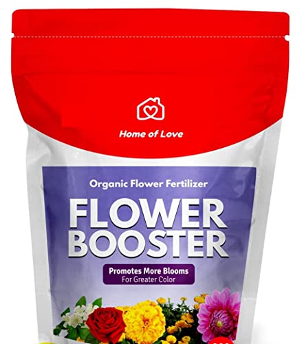 Amazon.in Bestsellers: The most popular items in Flower Fertilizers
