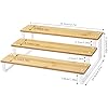 Amazon.com: Lonian 3 Tier Spice Rack Organizer, Countertop Step Shelf ...