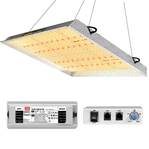 Best LED Light For 4x4 Grow Tent