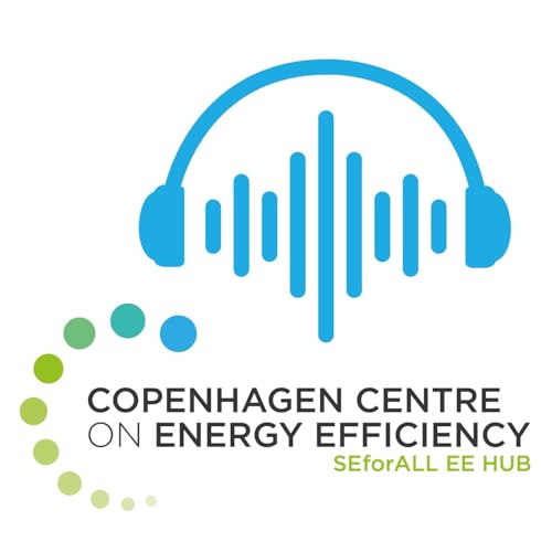 Scaling Up Energy Efficiency : UNEP Copenhagen Climate Centre: Amazon ...
