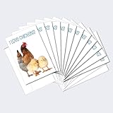 【発売日：2018年01月01日】・ブランド:Tree-Free Greetings・製造元:Tree-Free Greetings・モデル:FS56353・製造元/メーカー部品番号:FS56353・ボックス入りの文房具ノートカード（4x6...