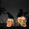 Amazon.com : Huazzzyi Outdoor Solar Lights, Crow Solar Lights Outdoor ...