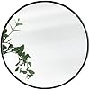 Amazon.com: Round Mirror, Black Round Mirror 16 Inch, Round Wall Mirror ...