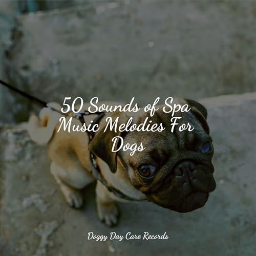 Play 50 Sounds of Spa Music Melodies For Dogs by Relaxation Music For ...