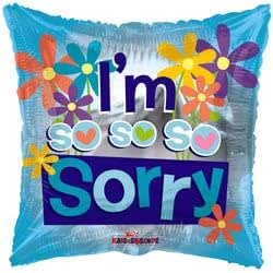 Amazon.com: 18" I'M So So Sorry Balloon : Toys & Games