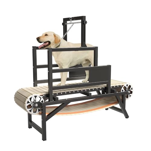 Amazon Best Sellers: Best Dog Treadmills
