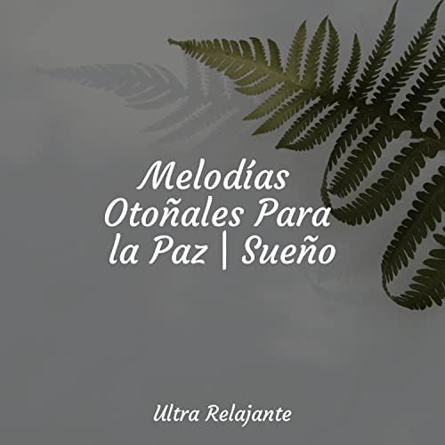 Amazon.co.jp: Melodías Otoñales Para la Paz | Sueño : Sueño Lucido ...