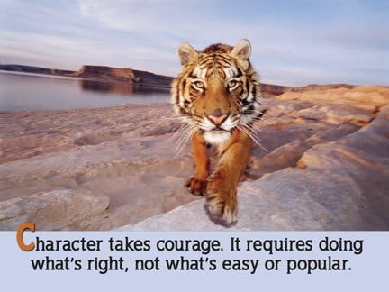 Amazon.com: Character Education Motivational POSTER - EXTRA LARGE (4' x ...