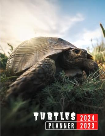 Turtle 2023 2024 Planner: Turtles Two Years monthly planner 2023 2024 ...