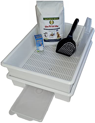 Top 10 Best Litter For Diabetic Cats : Reviews & Buying Guide - Katynel