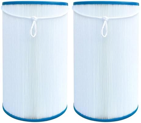 Amazon.com : Chryseos Spa Filter Compatible withFC-2402, Watkins 303279 ...