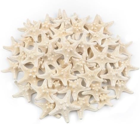 Amazon.com: FORWOMLM 20pcs Natural Starfish Shells Five Finger Real ...