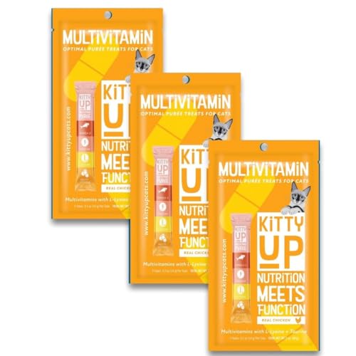 Cat Stock – The 15 best products compared - Wild Explained