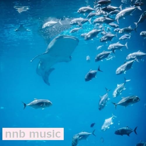 Amazon.co.jp: 水族館 : nnb music: デジタルミュージック