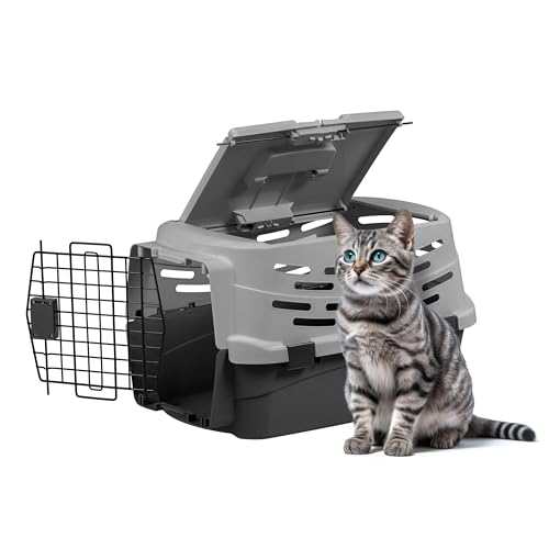 Hard Cat Carrier – The 15 best products compared - Wild Explained