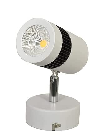 LiteMart LED COB Wall Spot/Focus Light with White Metallic Body (White ...