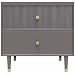 Amazon.com: CosmoLiving by Cosmopolitan Elizabeth Nightstand, Graphite ...